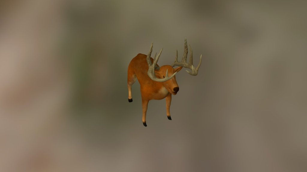 Buck Test - 3D model by sean volk (@seanvolk) [6ff72d7] - Sketchfab