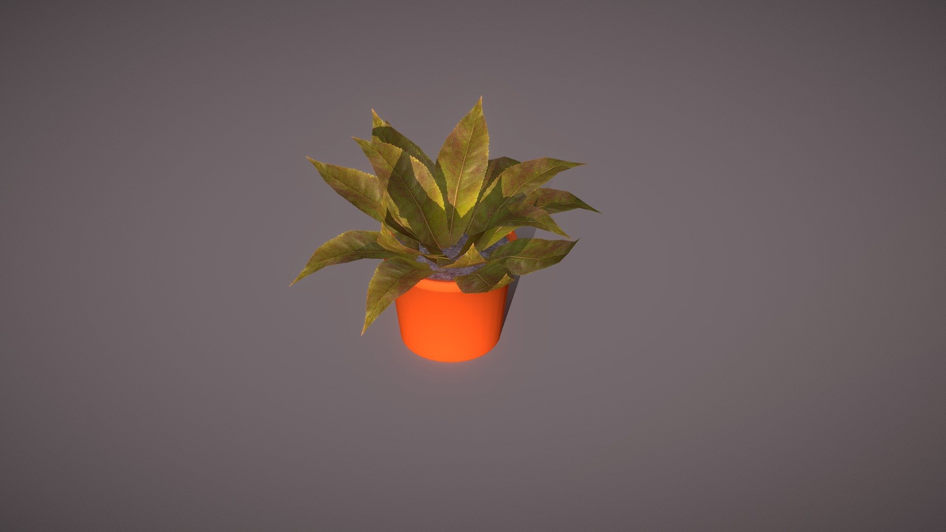 Plant Pot - 3D model by AlaskanCrab [6ff82fb] - Sketchfab