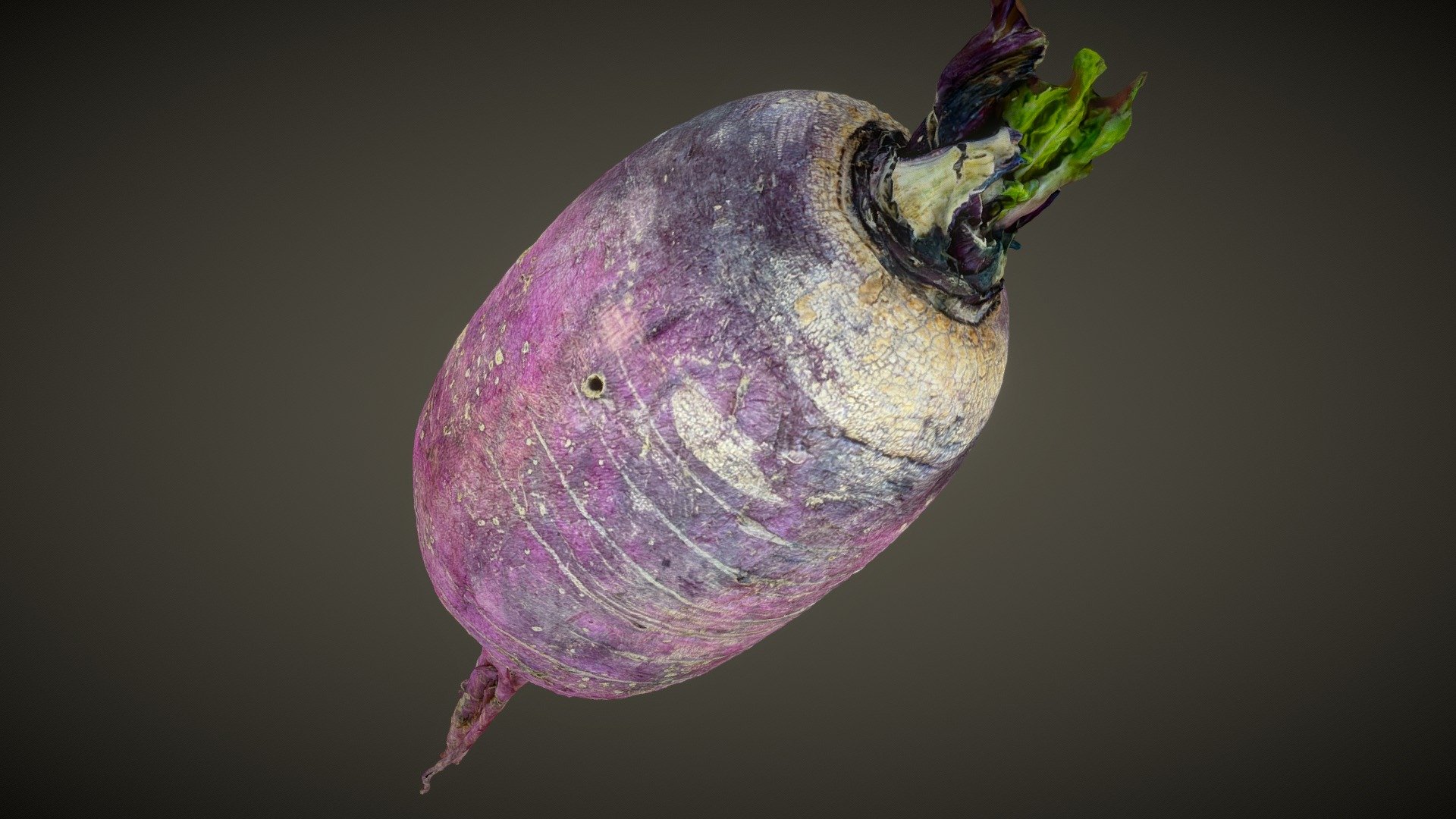 Purple Radish - Buy Royalty Free 3D model by Peter Katz (@peterkatz ...