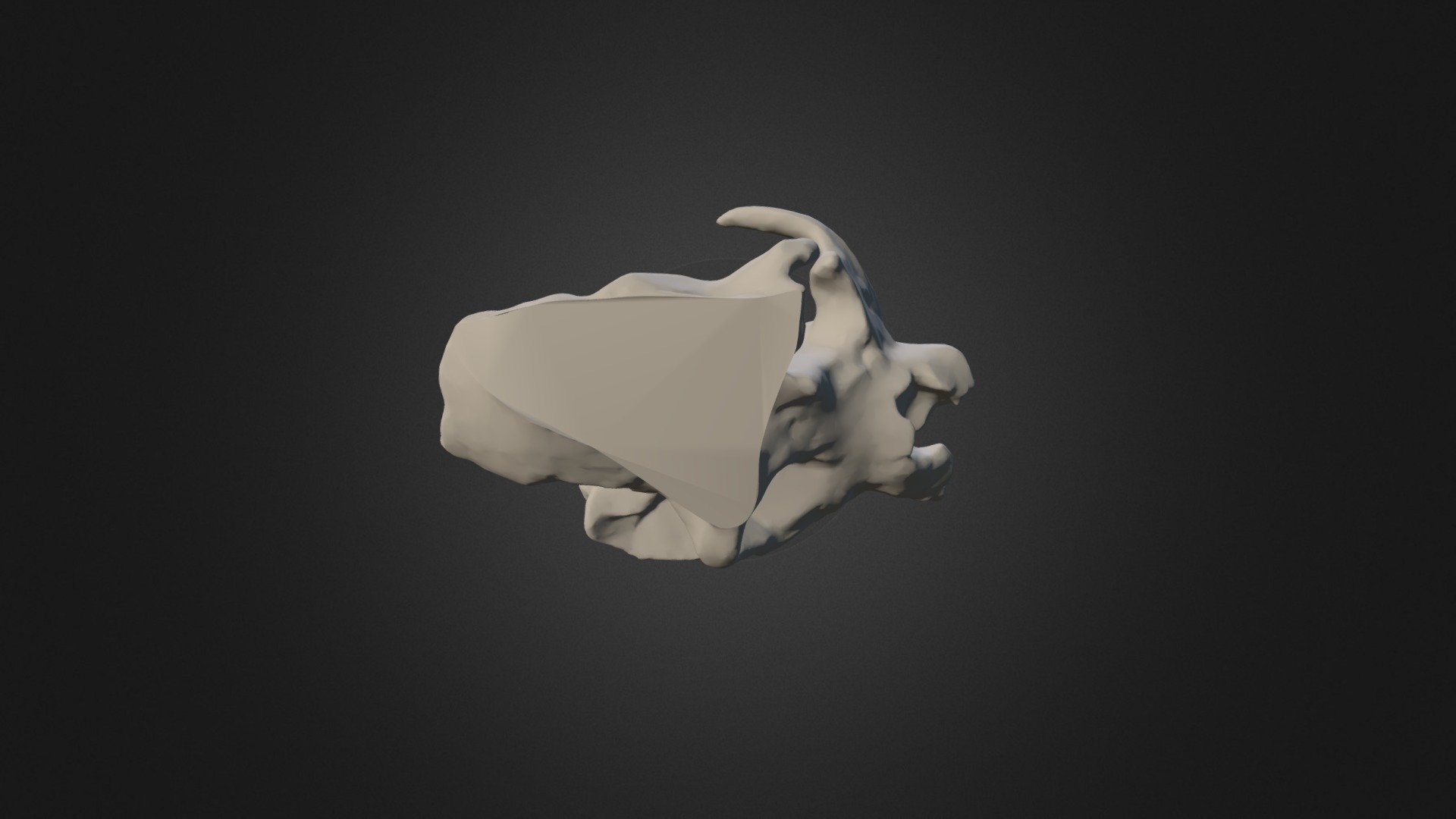 Turkanapithecus Kalakolensis - Download Free 3D model by geronimo0232 ...