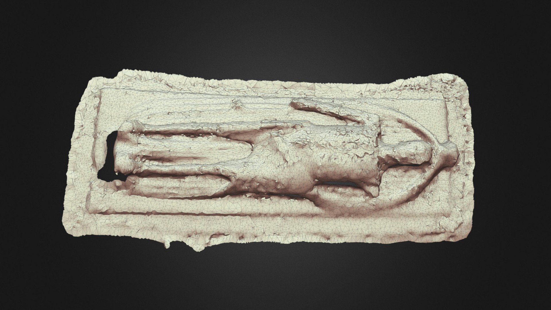 Rice Cadaver - 3D model by orlapeach [7012134] - Sketchfab