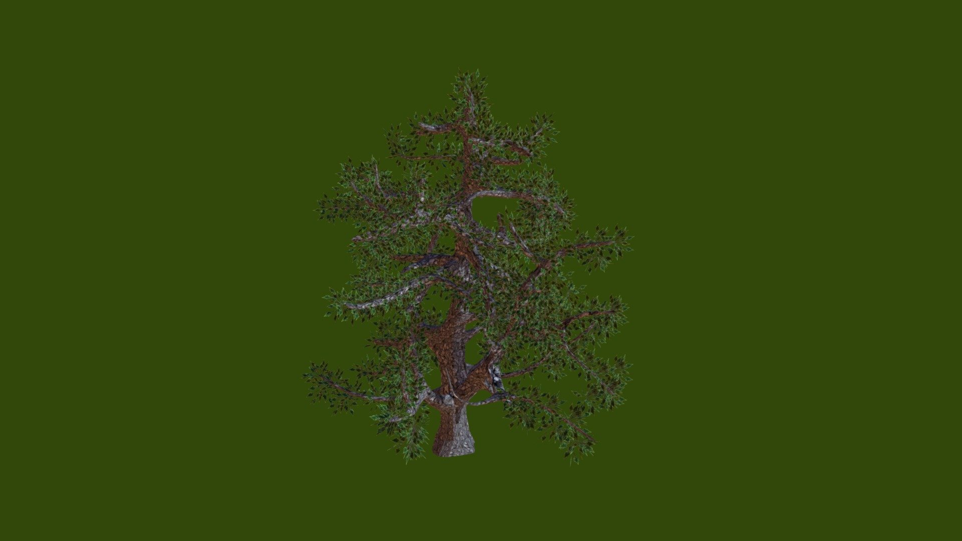 Oak Tree - Download Free 3D model by rhcreations [70175d0] - Sketchfab