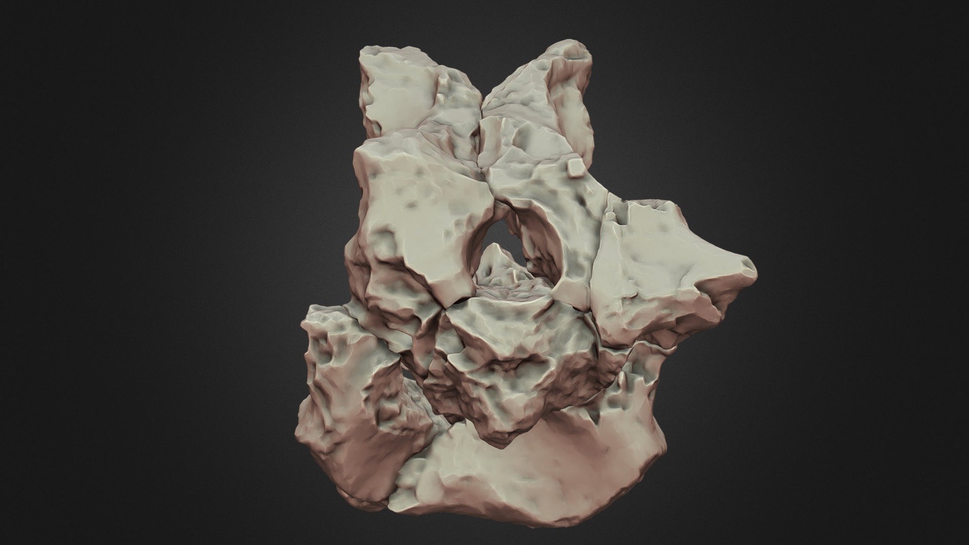 Hell Creek Triceratops Braincase - 3D model by Olof Moleman ...