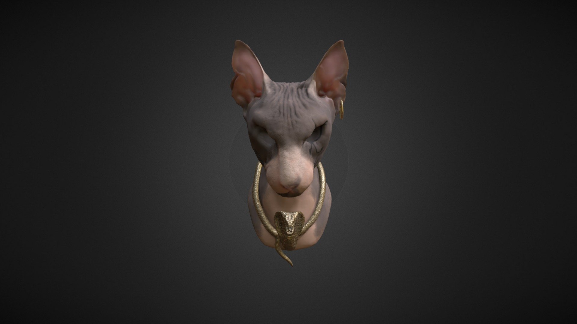 CAT SPHYNX PROJECT - 3D model by maxtorcat [701de6c] - Sketchfab