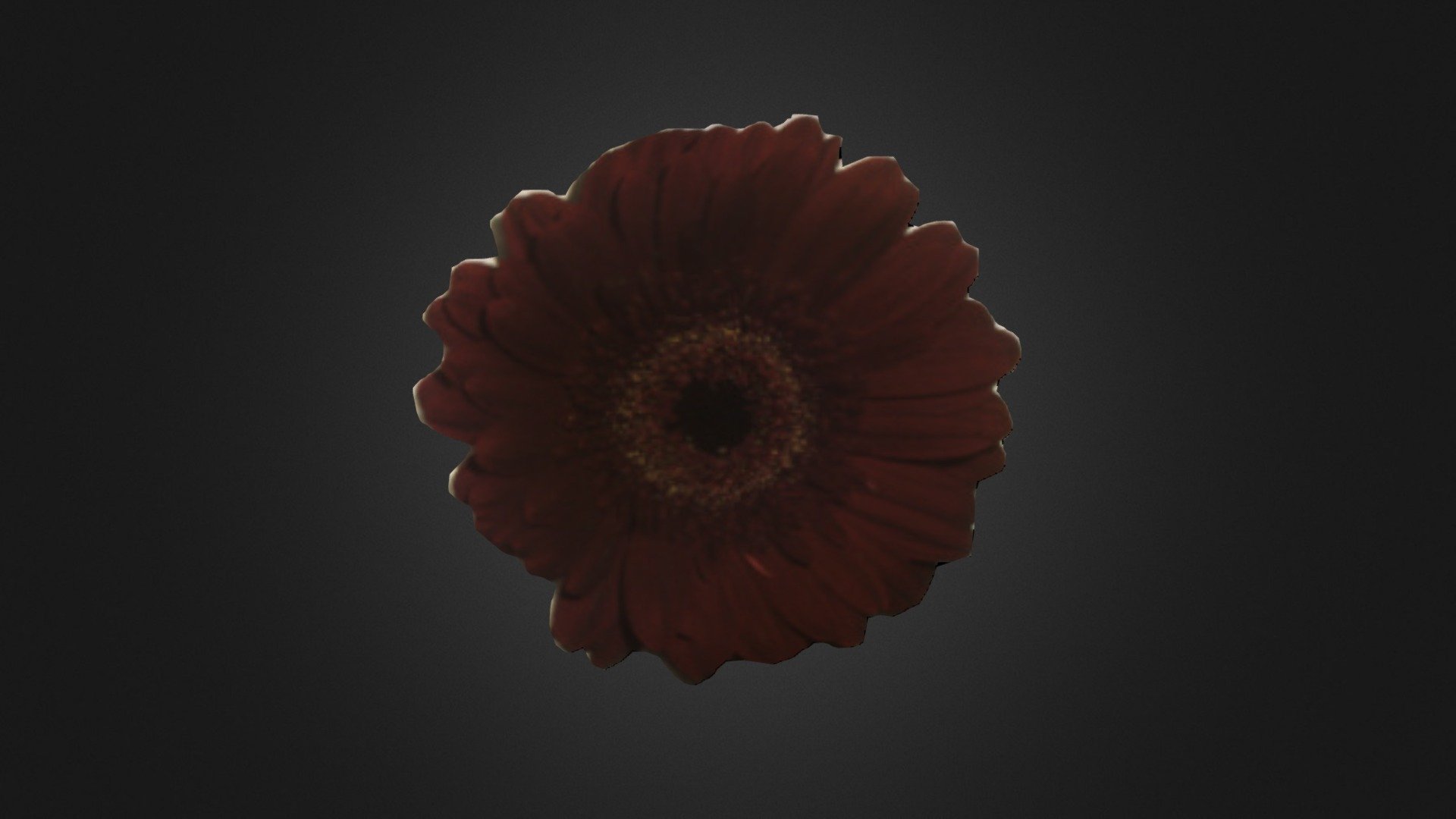 Red Flower - 3D model by Fuel3D [701eb76] - Sketchfab