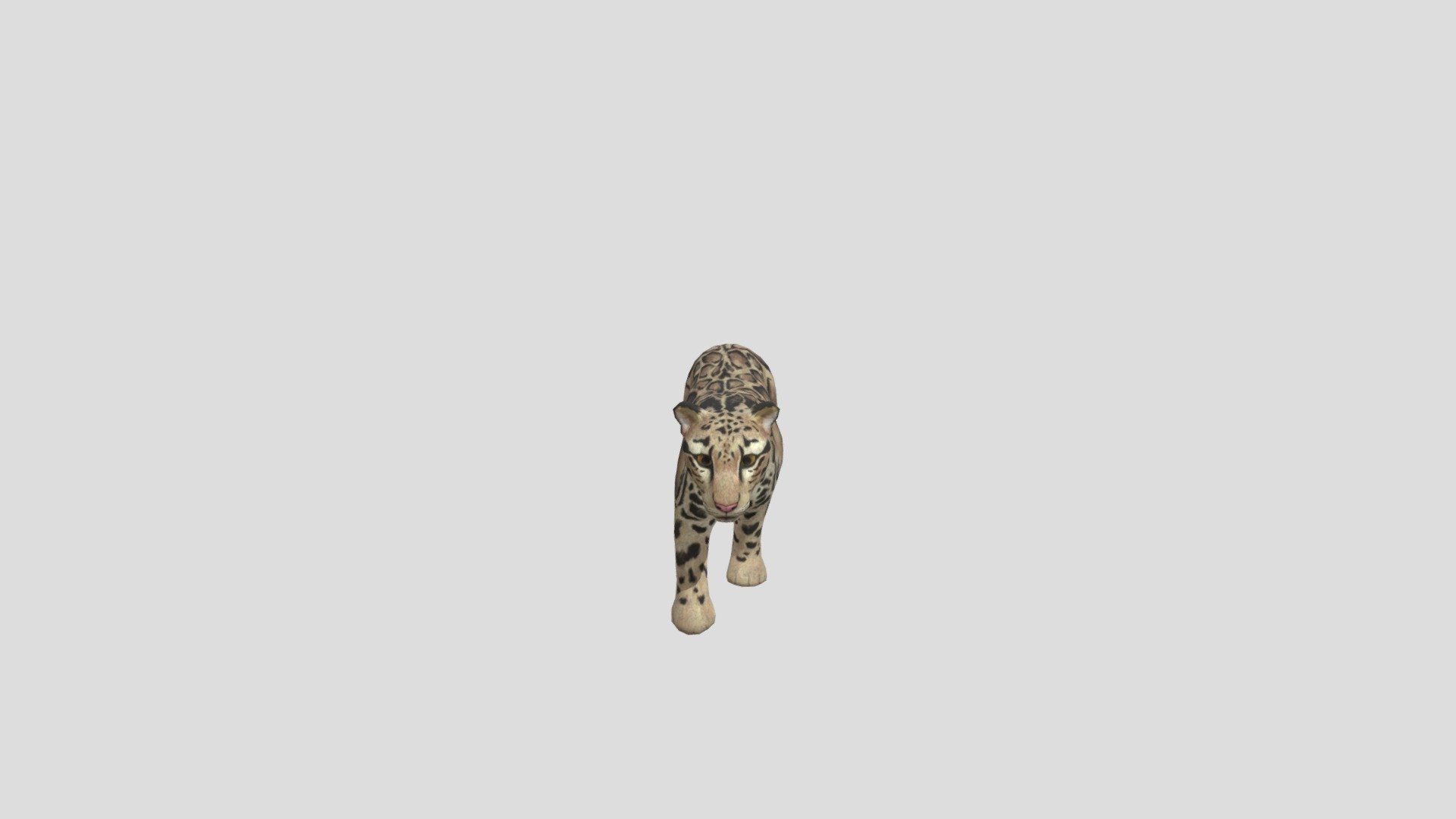 Leopard Tort V8 - 3D model by shinruanchen [70211b2] - Sketchfab