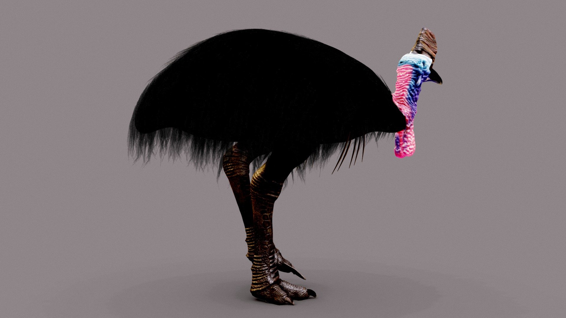 Cassowary - 3D model by Mieke Roth (@miekeroth) [702a251] - Sketchfab