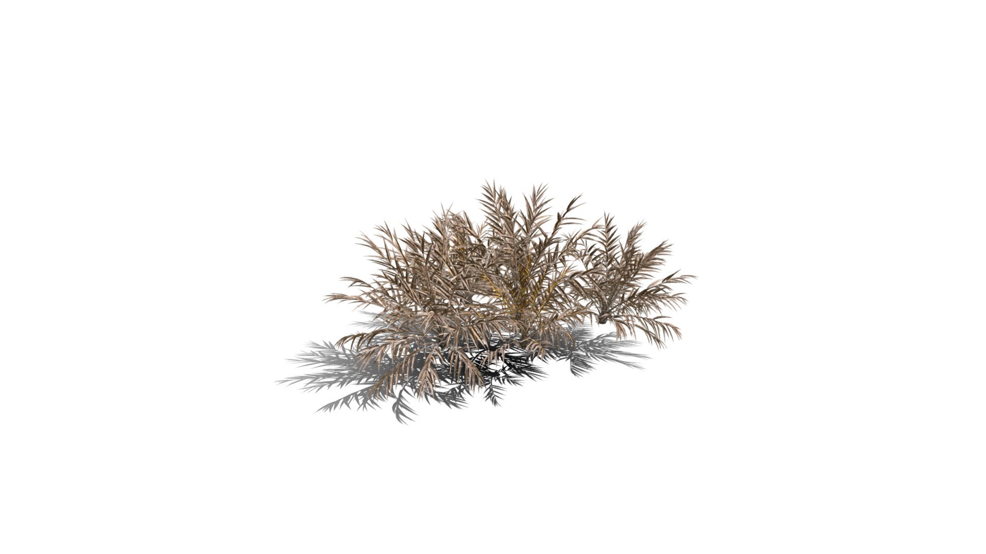 Realistic HD Date palm (64/78) - Download Free 3D model by PlantCatalog ...
