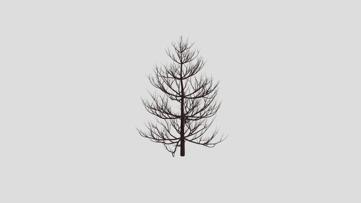 Ree 3D models - Sketchfab