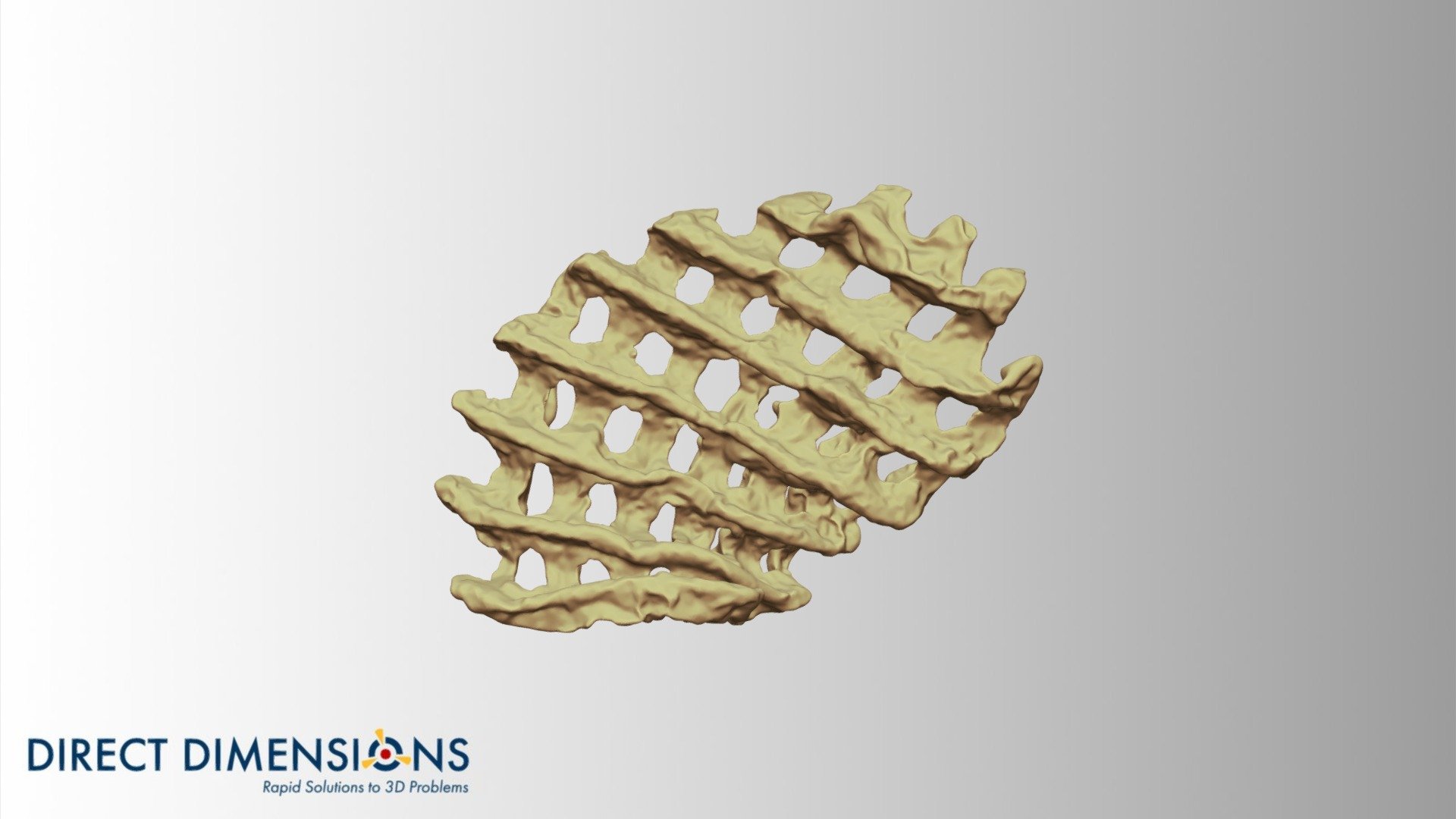 Large Fry - ChickfilA - 3D model by Direct Dimensions (@dirdim ...