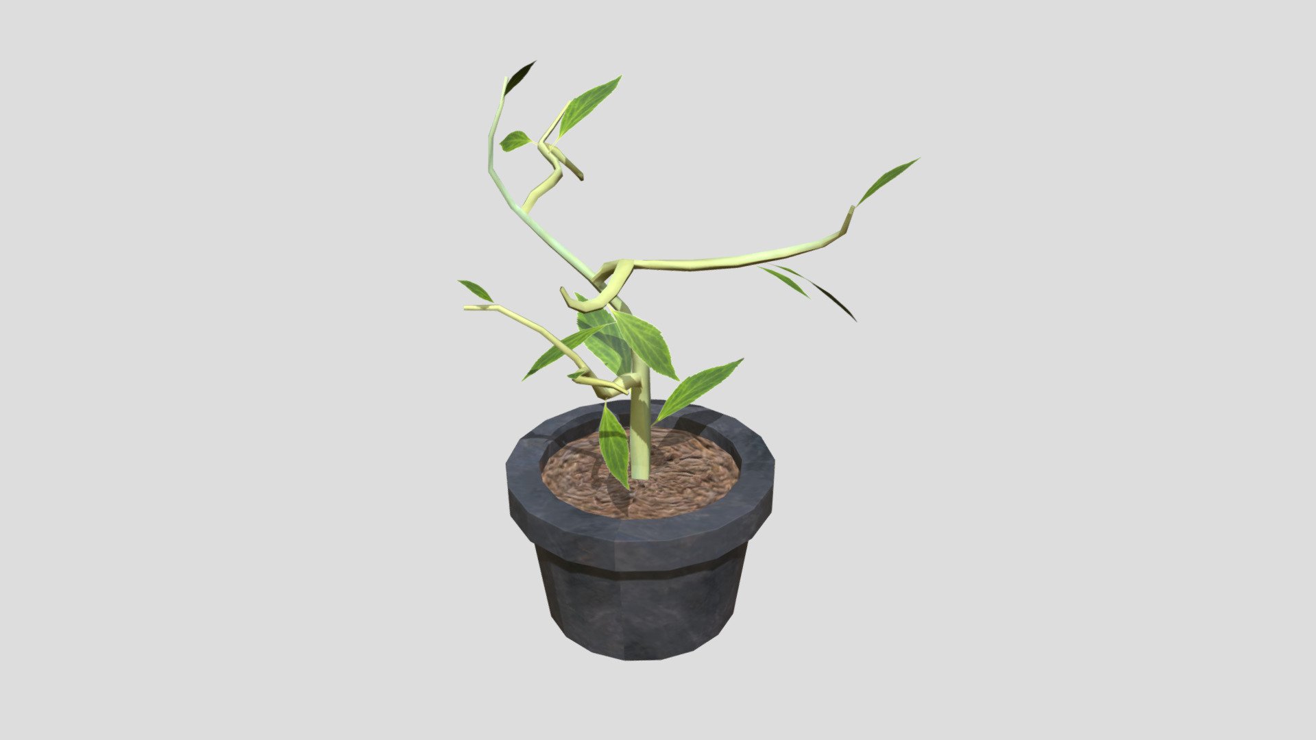 Plant - Download Free 3D model by dracobold [703c040] - Sketchfab