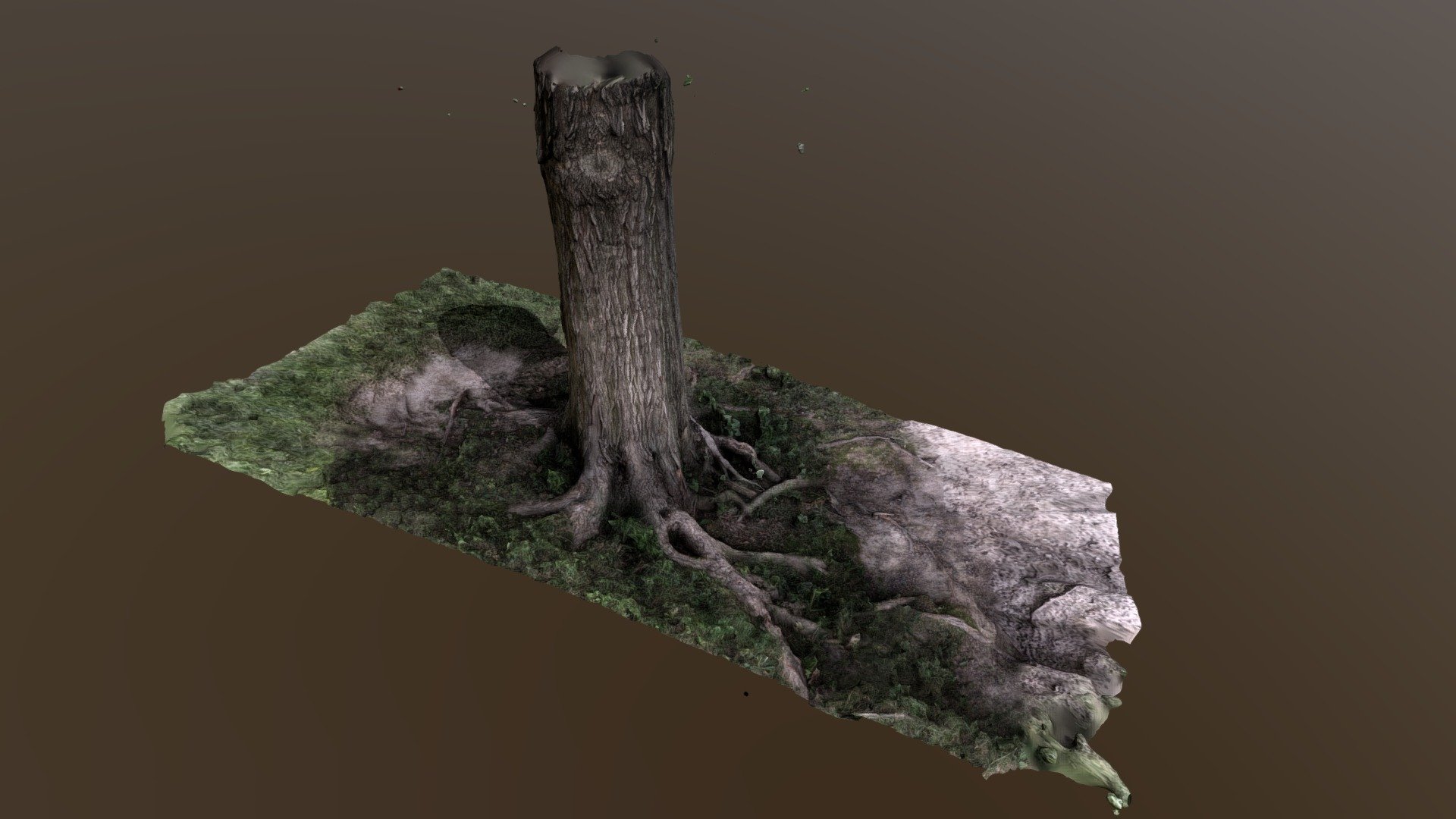 Tree Scan | Free - Download Free 3D model by Robin Butler (@StarTrekGuy ...