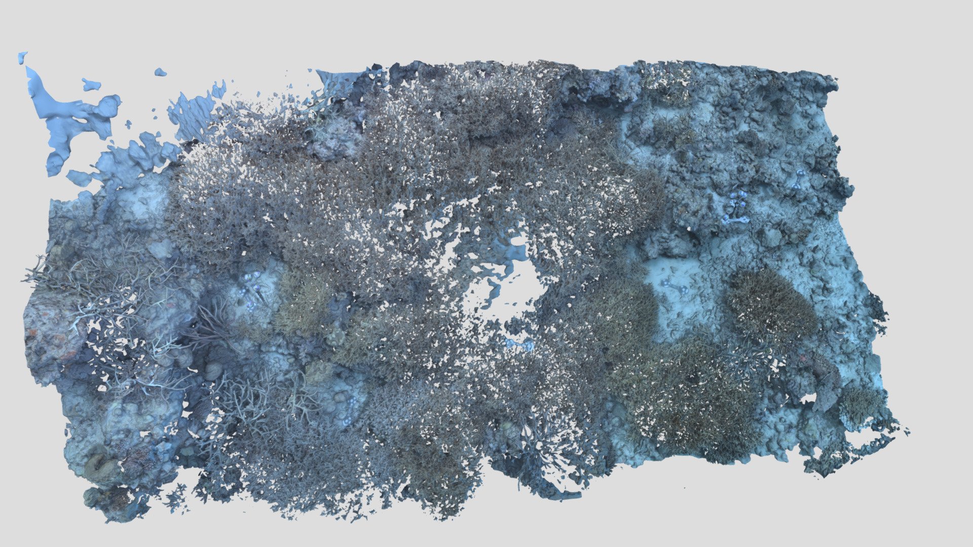 Davies_BA1D_P1_202101 - 3D model by EcoRRAP (@AIMSEcoRRAP) [703d5b3 ...