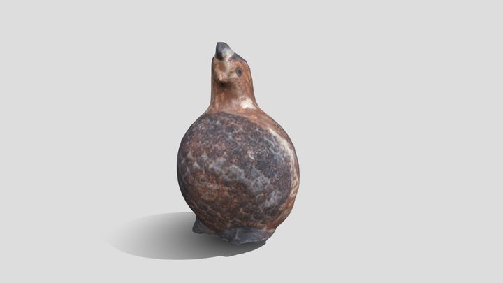 Quail 3D models - Sketchfab