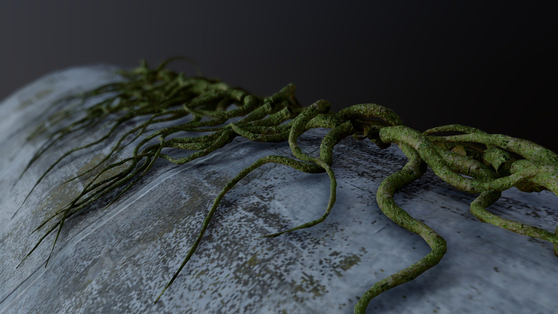 plant growth - 3D model by Virtua Con (@virtuaCon) [7047e7b] - Sketchfab