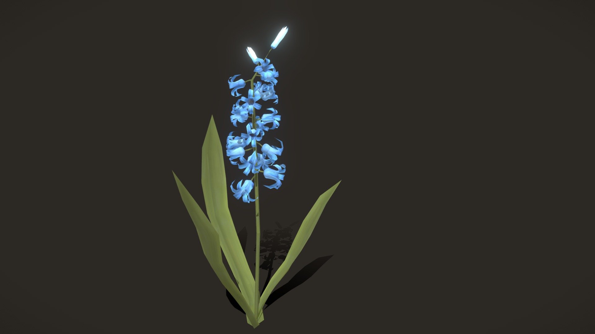 Hyacinthus Orientalis / Garden Hyacinth flower - Buy Royalty Free 3D ...