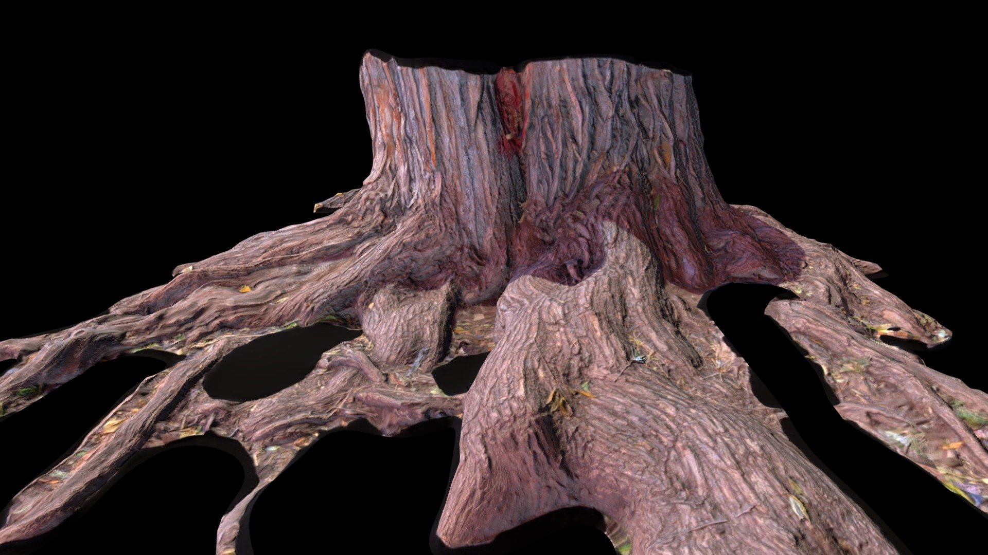 Roots Photogrammetry - Download Free 3D model by Wanna Be Thor (@res ...