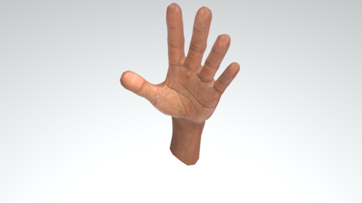 Hand With Uvs - 3D model by juanitaRubio [7064dd3] - Sketchfab