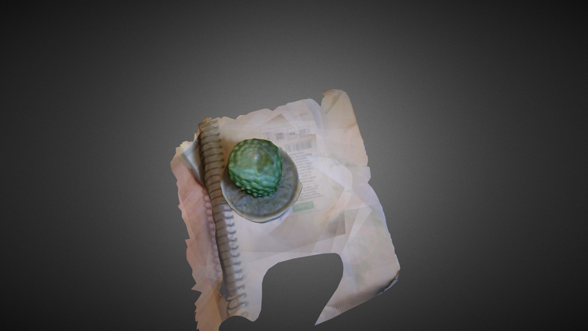 cactus (+textures) - 3D model by baf-baf [70658e7] - Sketchfab