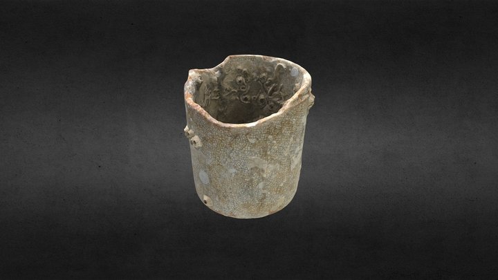 Barnacle 3D models - Sketchfab
