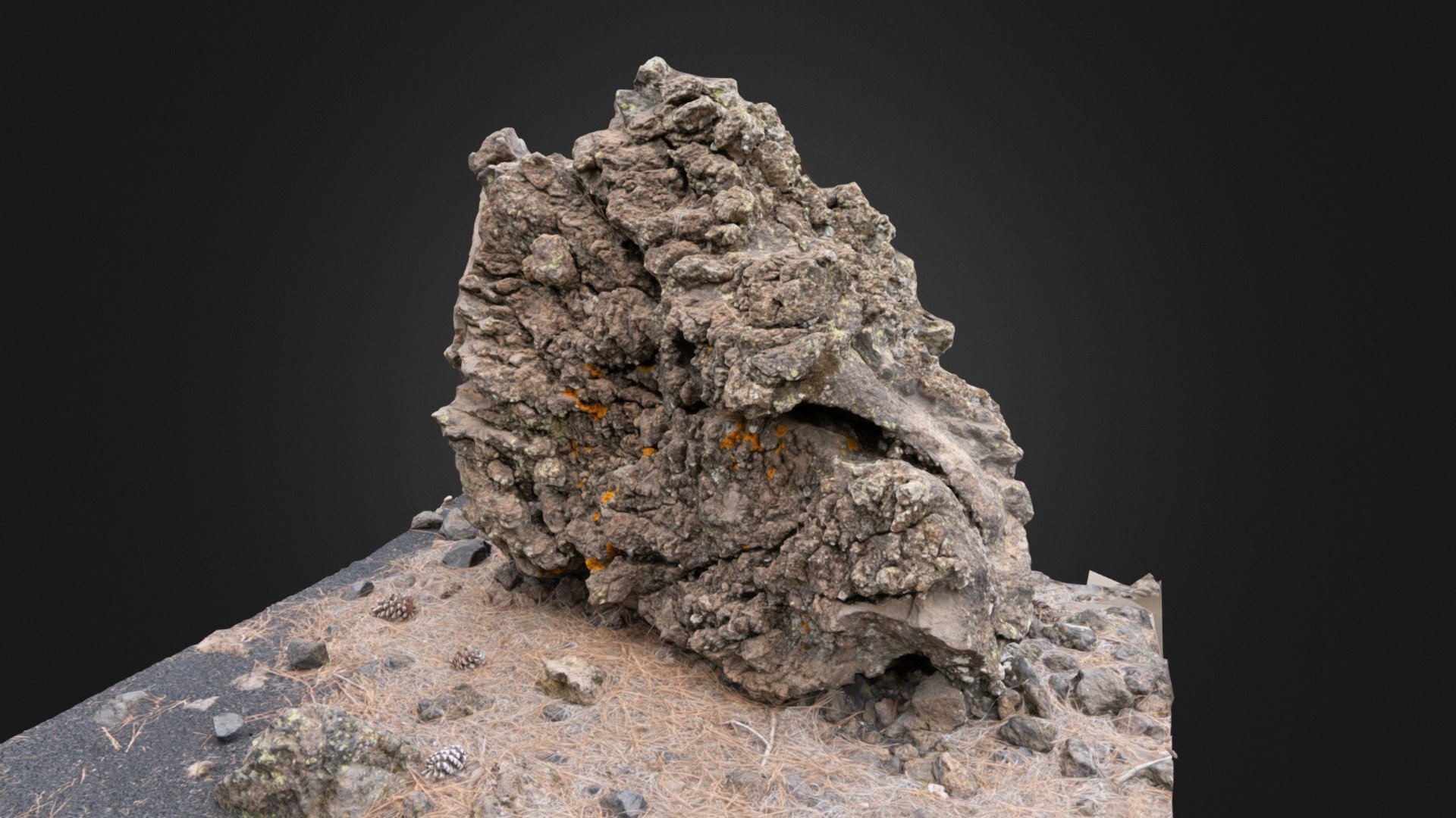 Volcanic rock - 3D model by Scans Planet (@ScansPlanet) [7067f93 ...