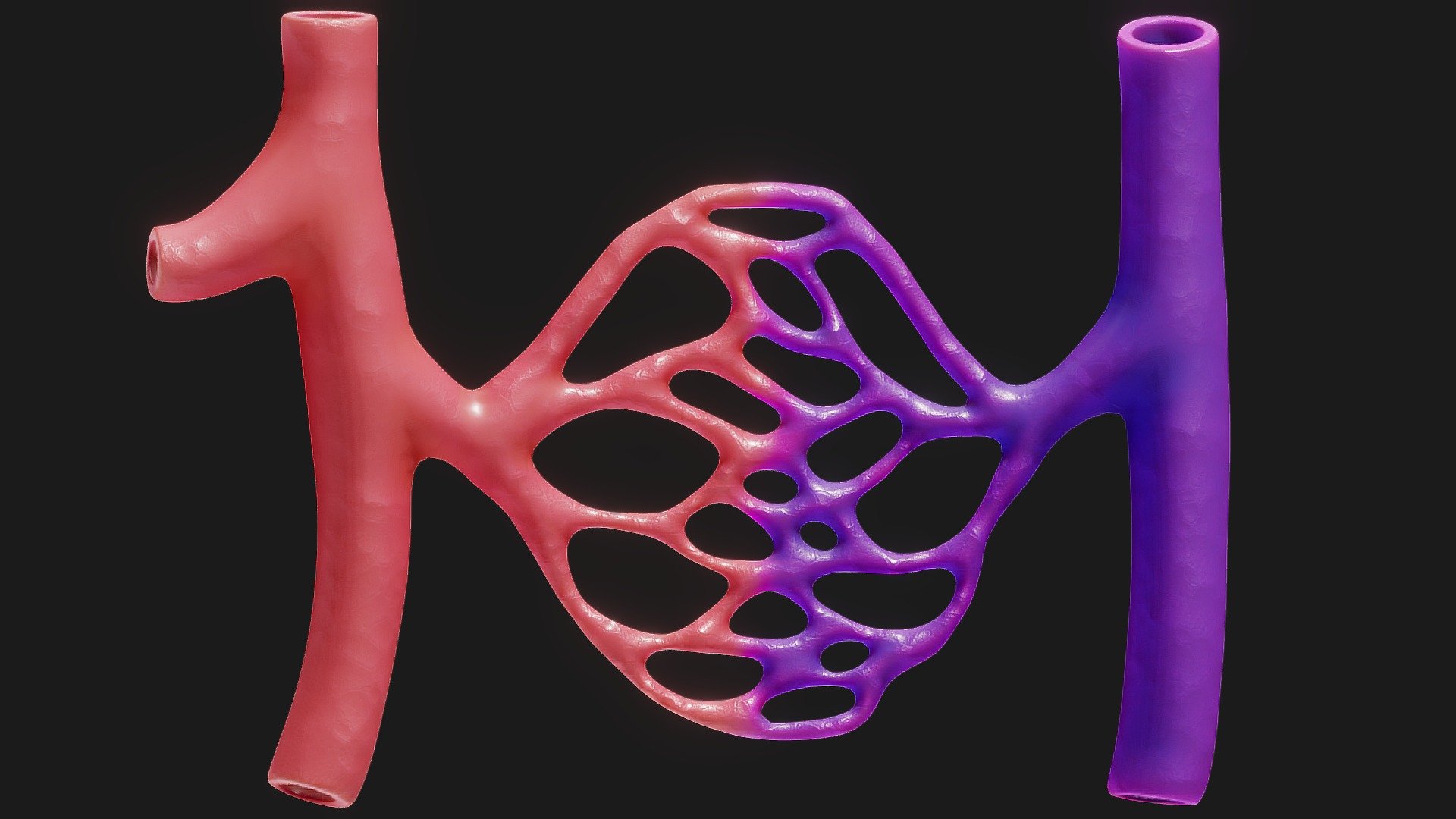 Blood vessels - Buy Royalty Free 3D model by zames1992 [706d25e] - Sketchfab Store