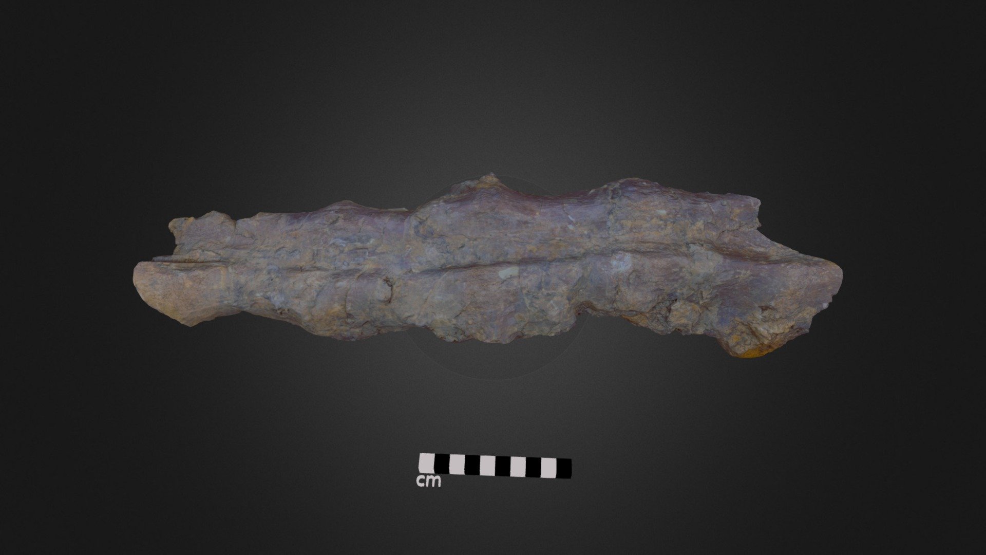 Long Frag Scaled - 3D model by Archaeology, Classics and Egyptology at ...