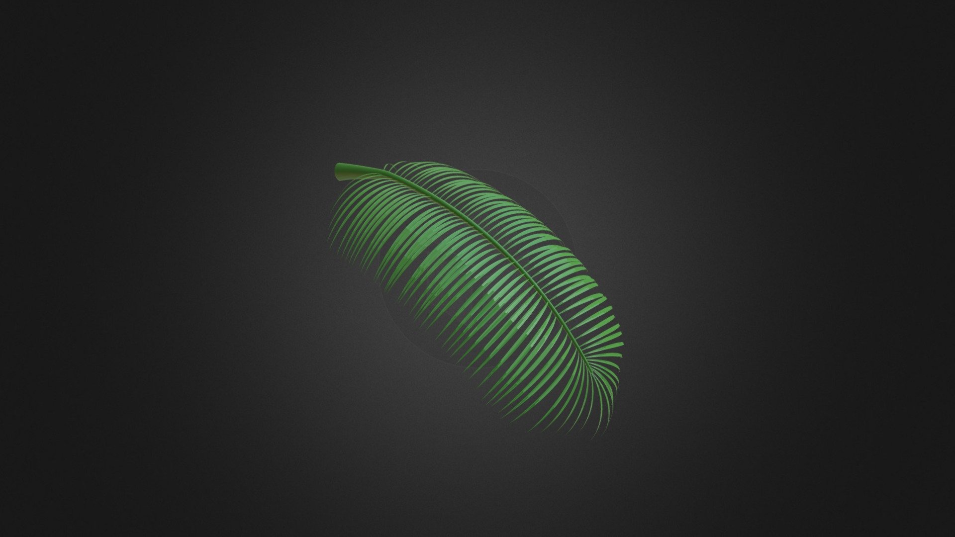 PALM LEAF - Download Free 3D model by YouniqueĪdeaStudio (@sinnervoncrawsz) [7075afb] - Sketchfab