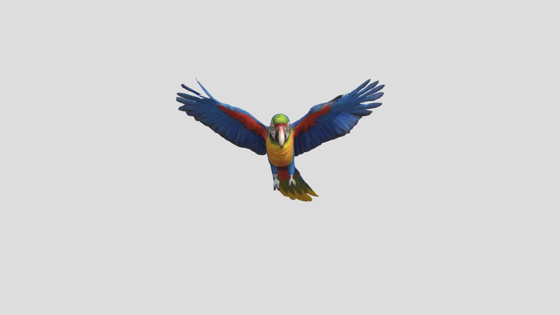 Flight_of_ Colors_0611015357_texture - Download Free 3D model by david ...