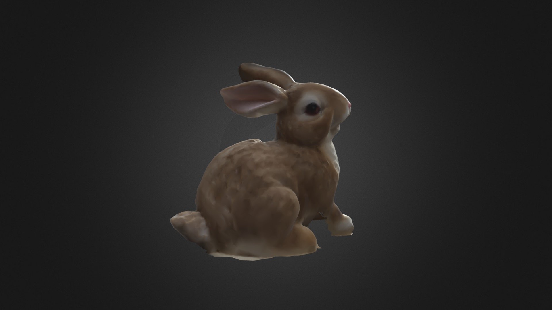 Bunny - Download Free 3D model by saraebner [708230c] - Sketchfab