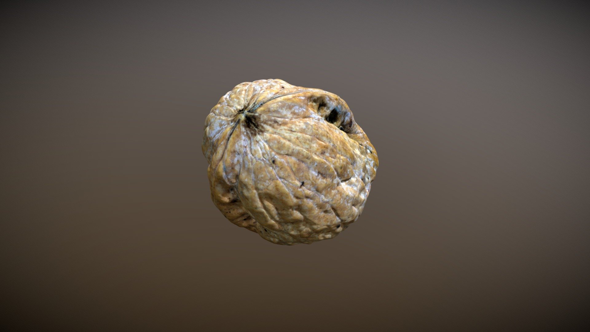 Walnut - Buy Royalty Free 3D model by blackfirefilms [7084a51 ...