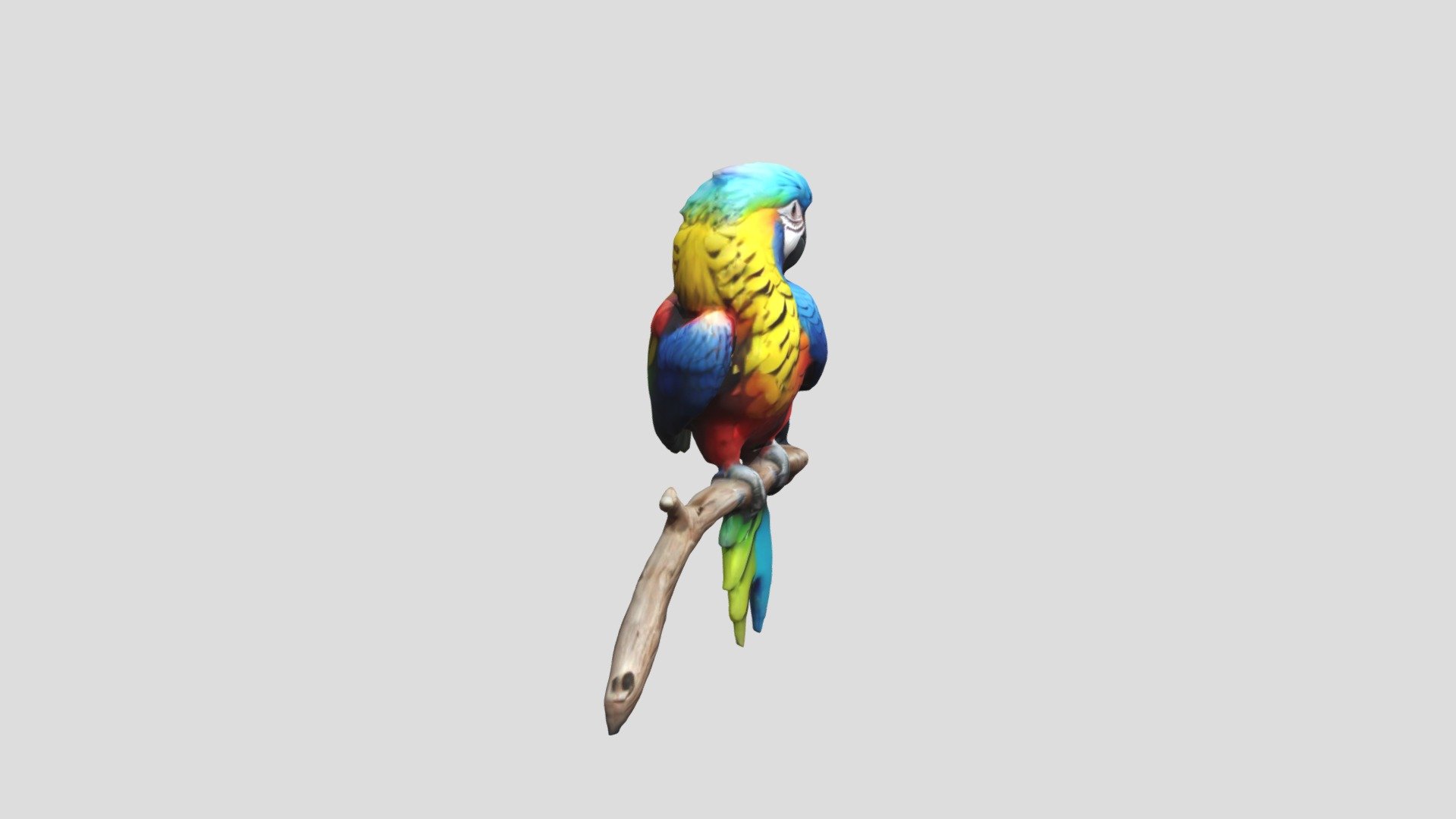 a_colorful_parrot_perched_on_a_twi_draft - Download Free 3D model by ...