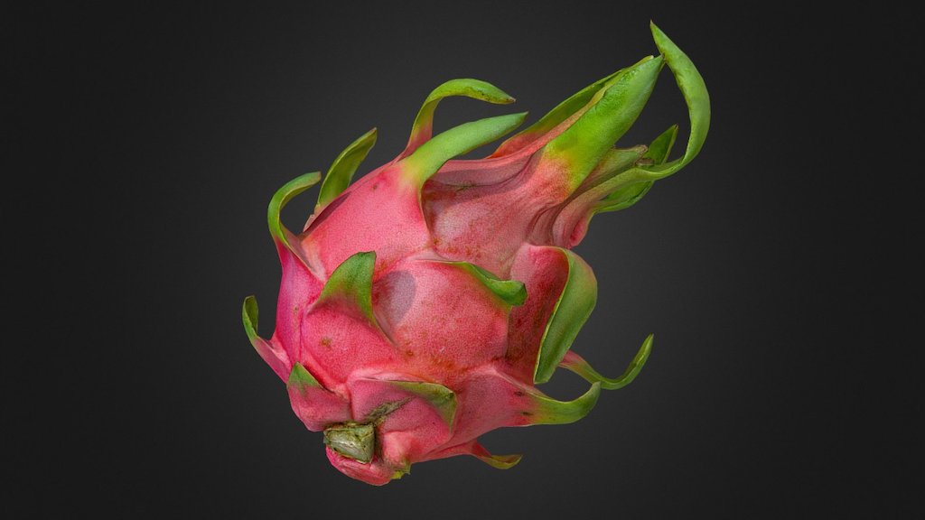 Dragon Fruit (Pitaya) - 3D model by Vlad (@ssh4) [70938aa] - Sketchfab
