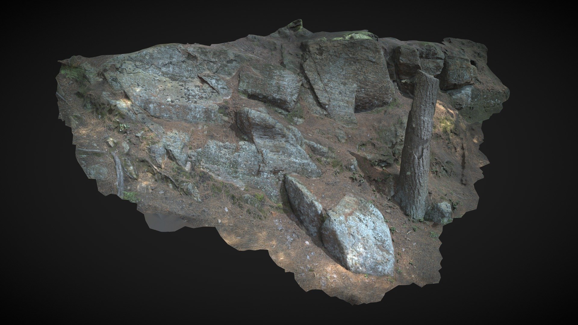 Forest Cliff photogrammetry 3d model - Buy Royalty Free 3D model by 3D ...