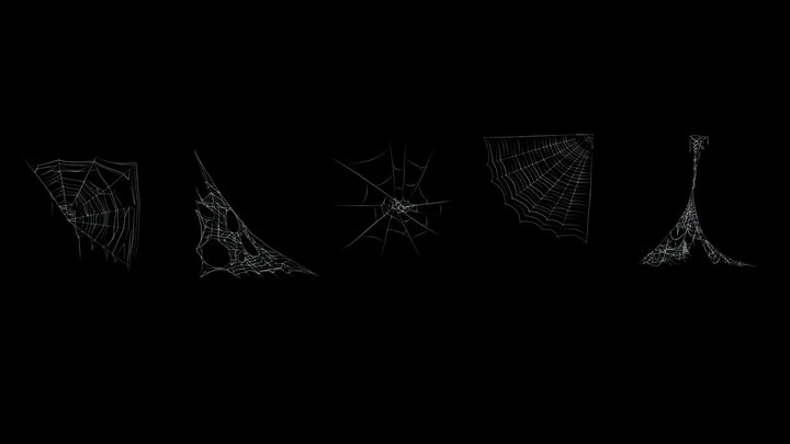 Cobweb 3D models - Sketchfab