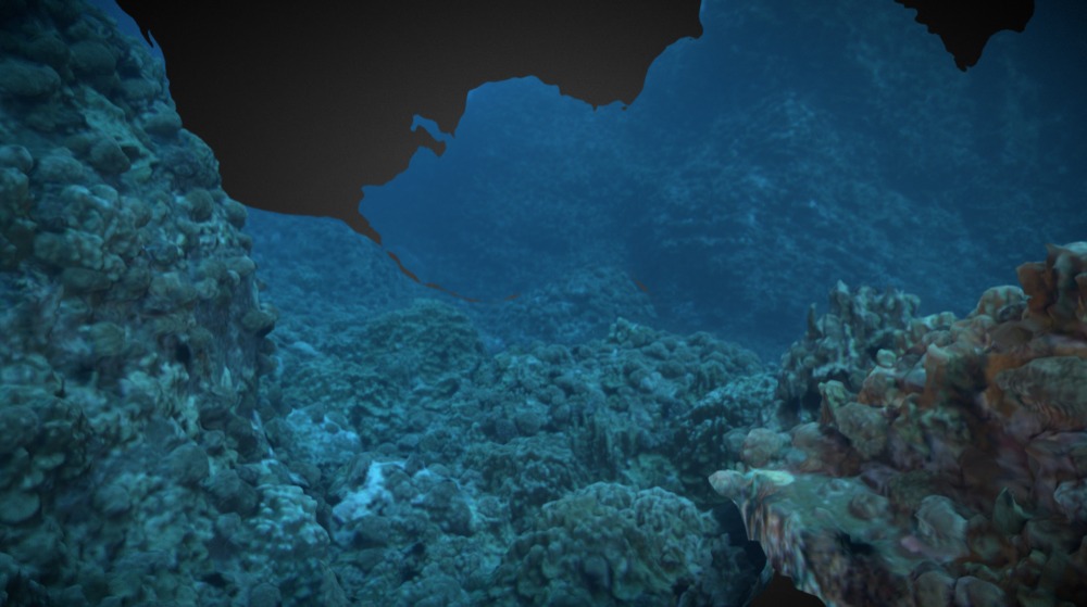 Easter Island Coral Reef - 3D model by California Academy of Sciences ...