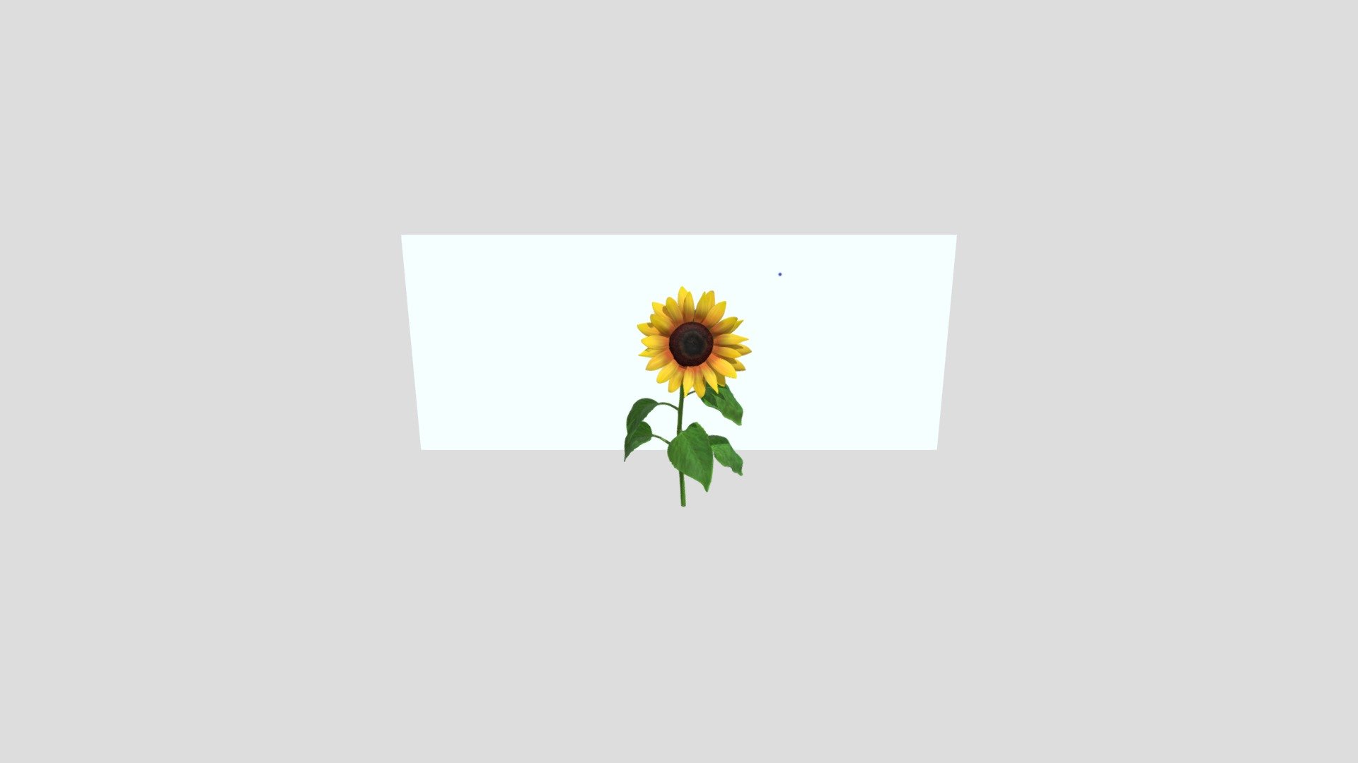 SUNFLOWER - 3D model by intanpramudita [70b736a] - Sketchfab