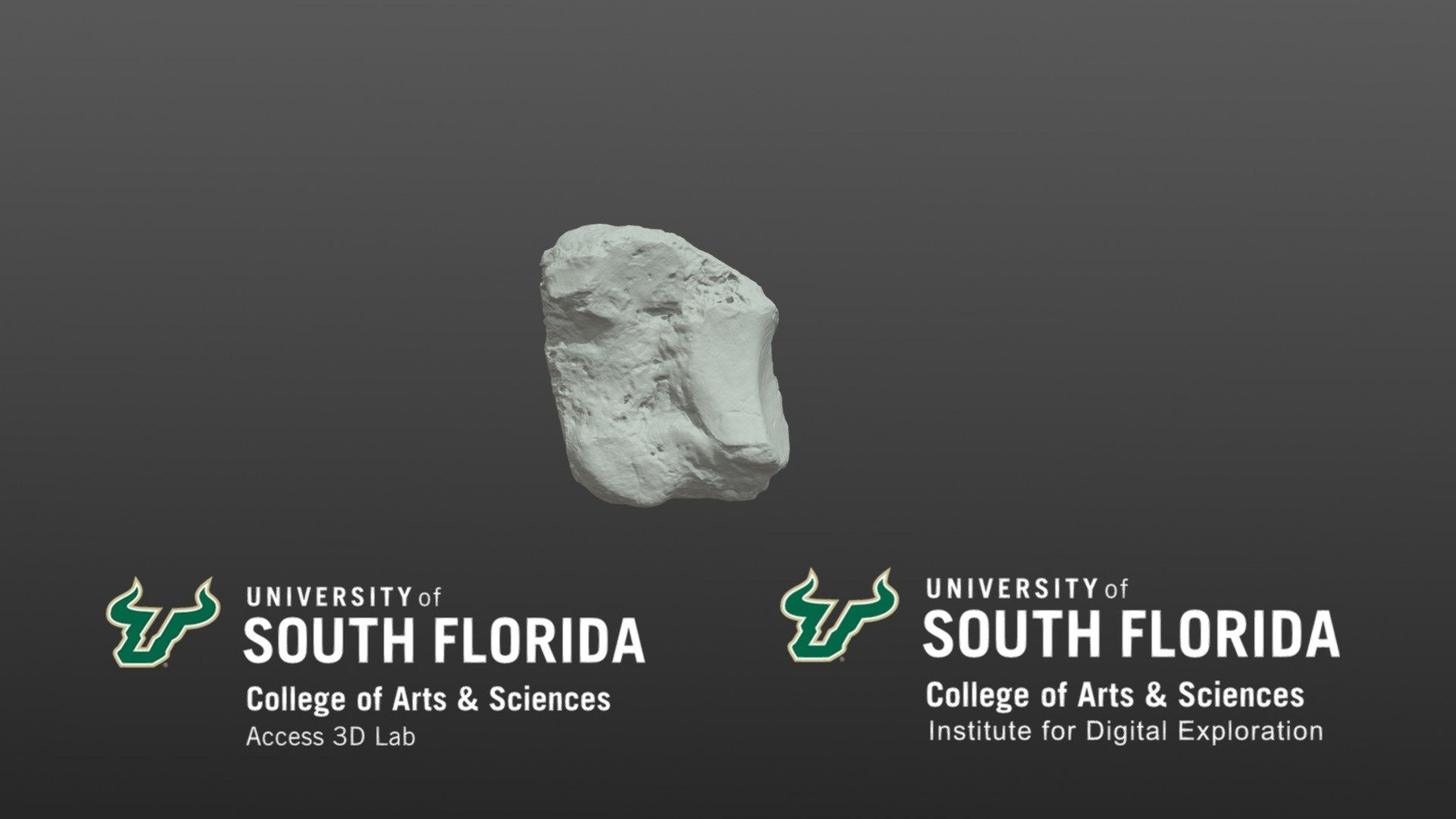 Left Cuneiform 1 (76) - 3D model by access3d [70be1d9] - Sketchfab