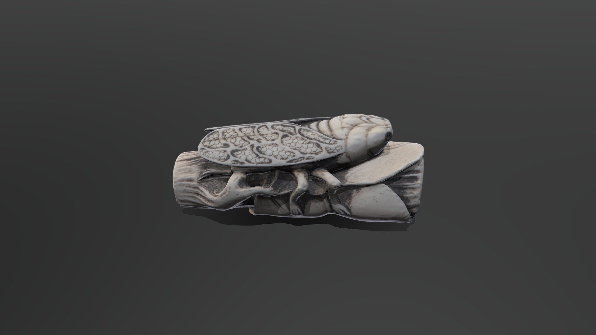 Ivory Bug - 3D model by connorzelinsky [70c240e] - Sketchfab