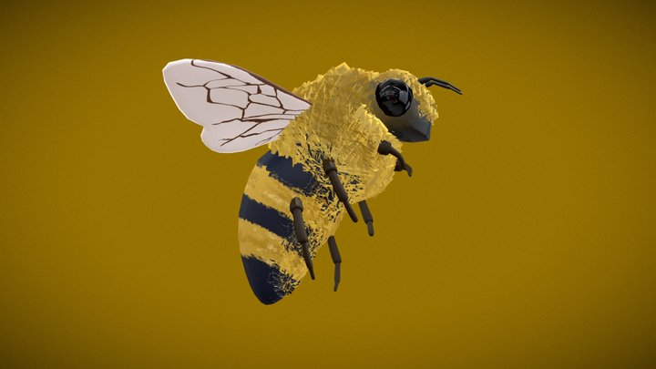 Rigged-animal 3D models - Sketchfab