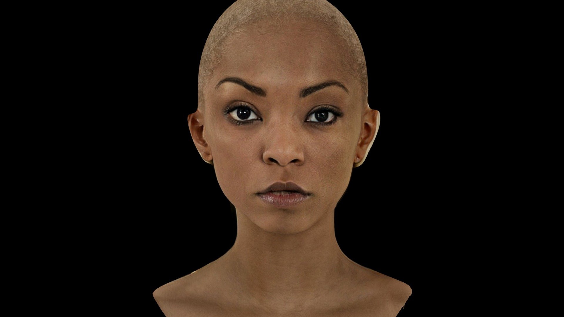 Human Dignity Collection | www.acuteline.com - Download Free 3D model ...