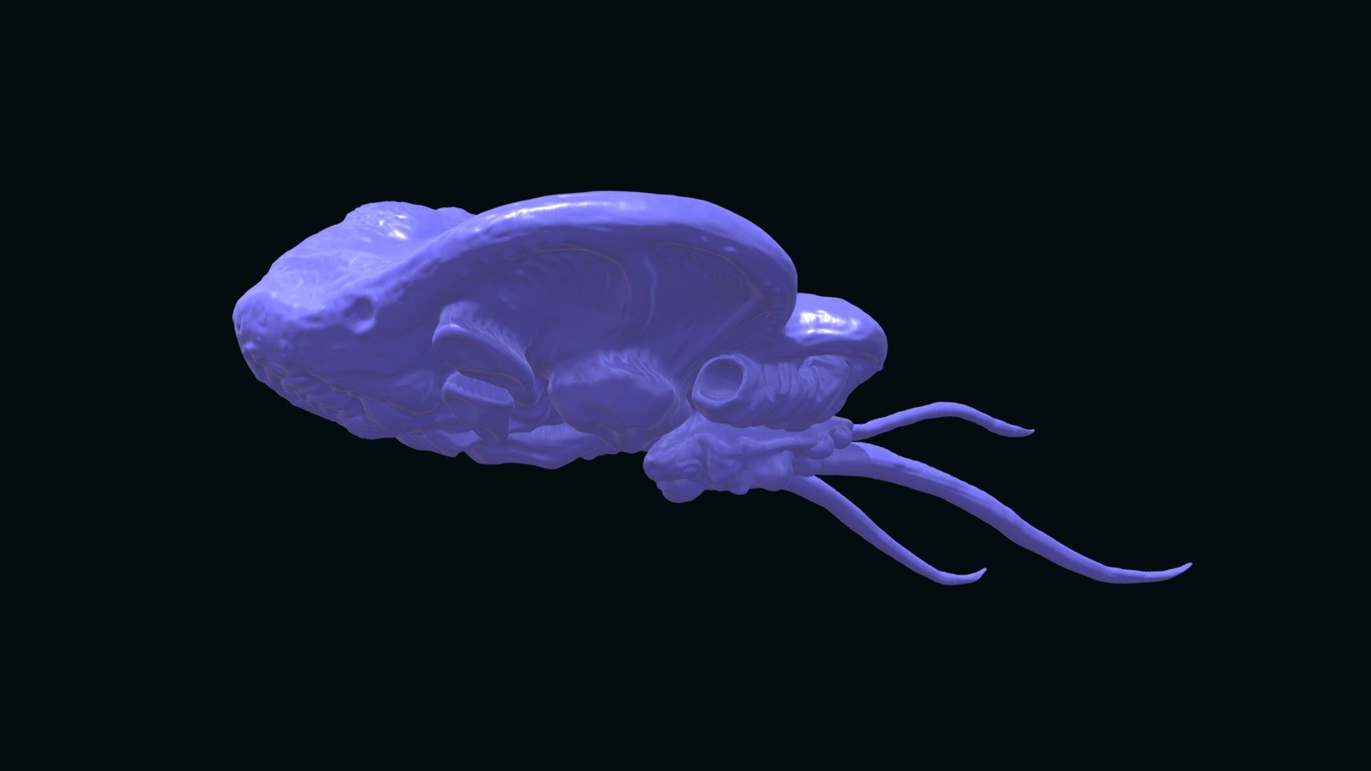 Reefback Leviathan - 3D model by Blob_fysh [70c6c8a] - Sketchfab