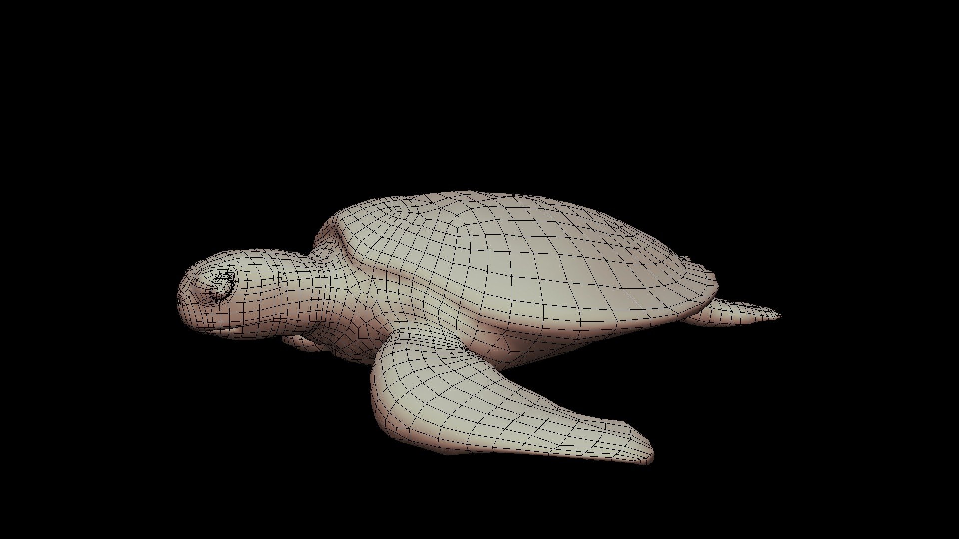 Model 46B - Subadult Green Sea Turtle Mesh - Download Free 3D model by ...