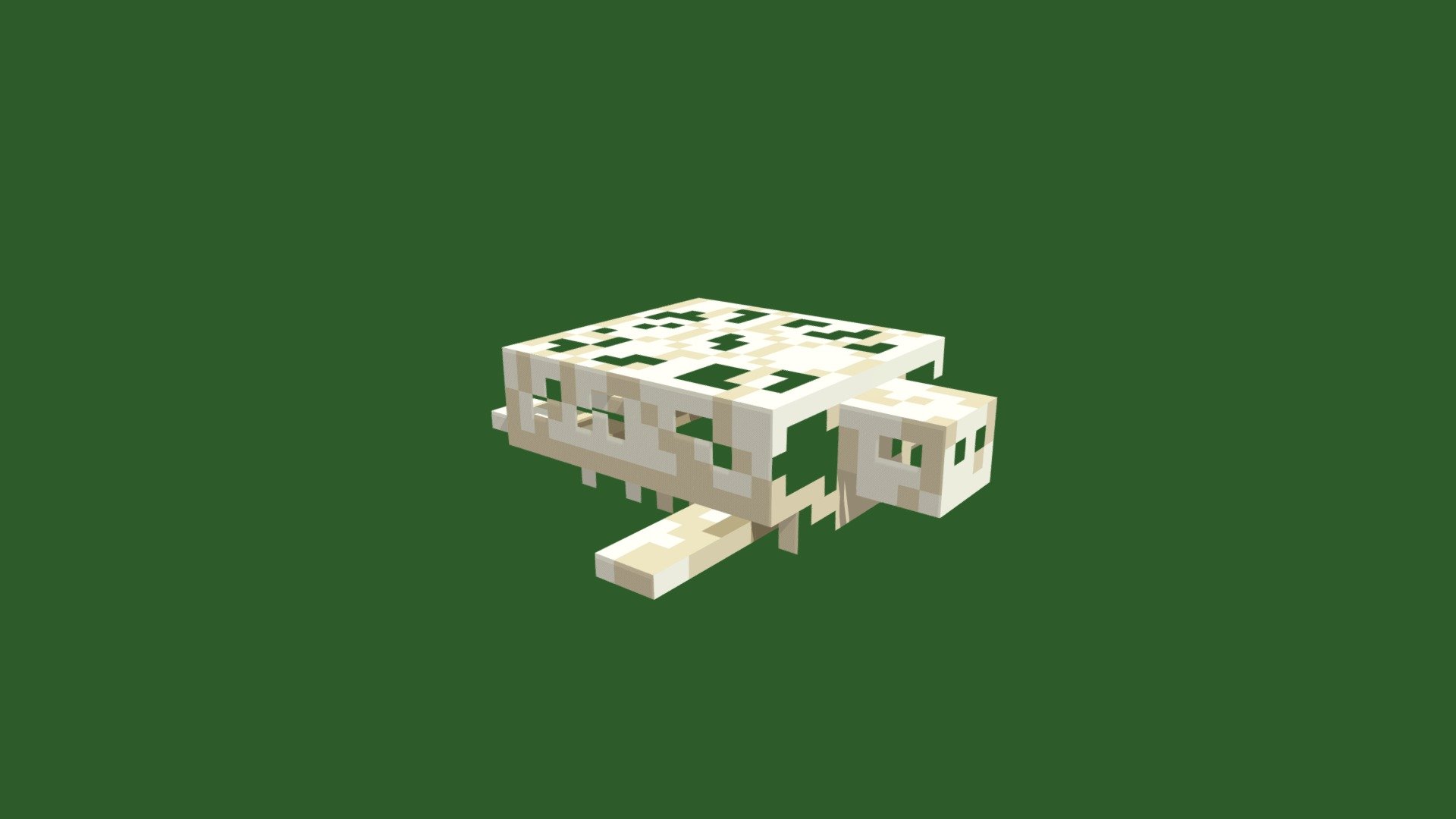 sea turtle skeleton - 3D model by triton_chaine [70cd8c6] - Sketchfab