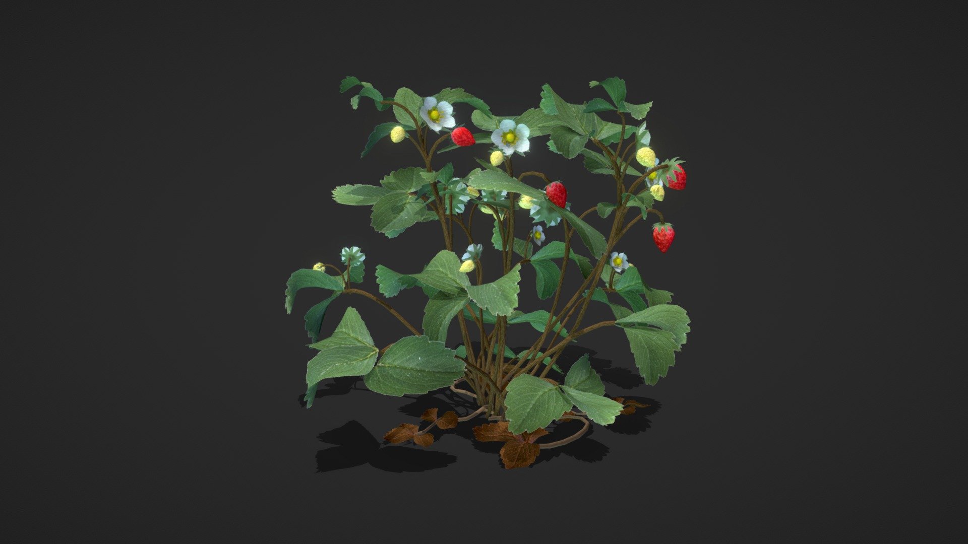 Strawberries - Buy Royalty Free 3D model by AVRcontent [70cf400 ...