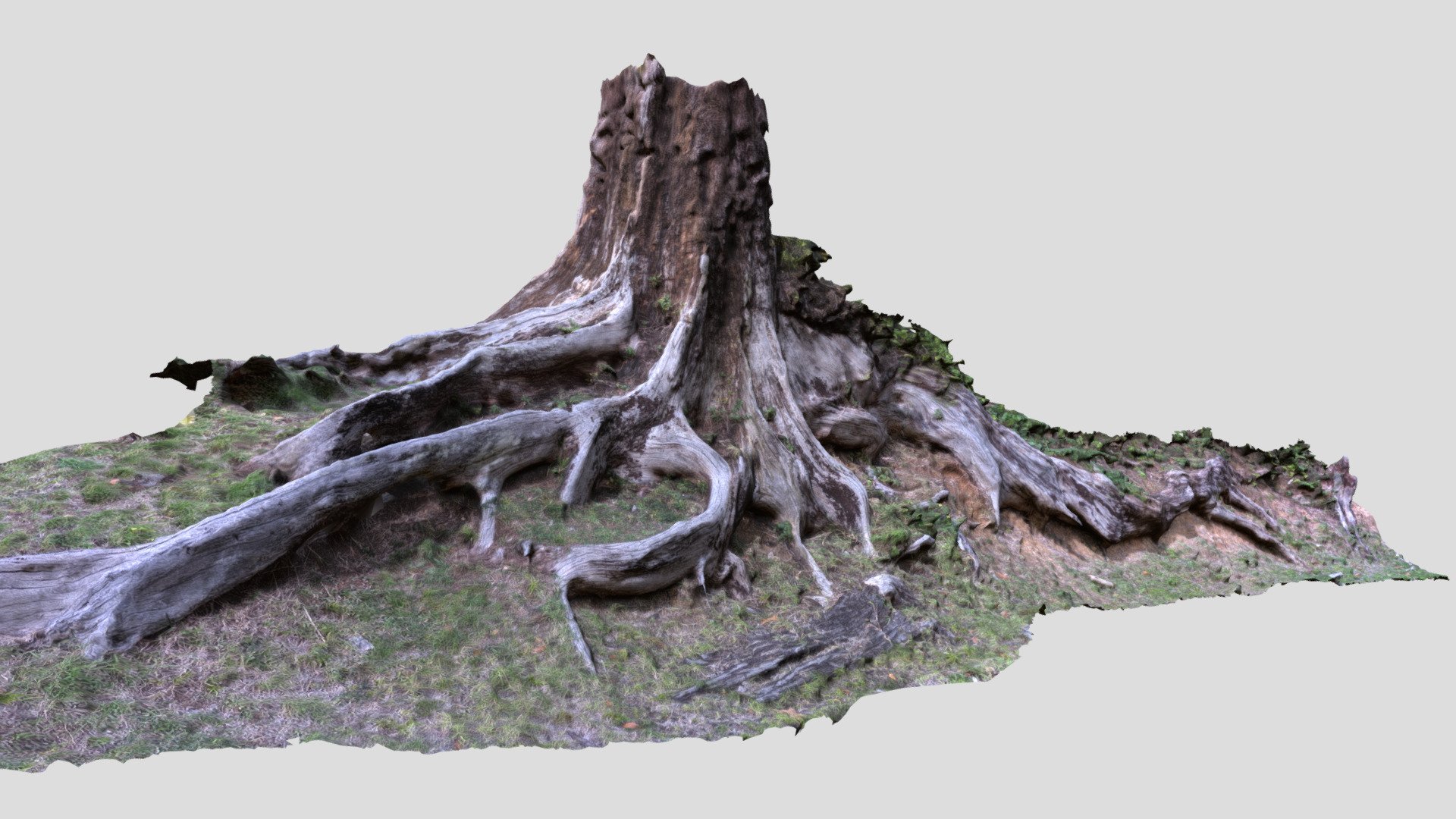 Sideroad treetrunk and roots - Download Free 3D model by Maxim.O ...