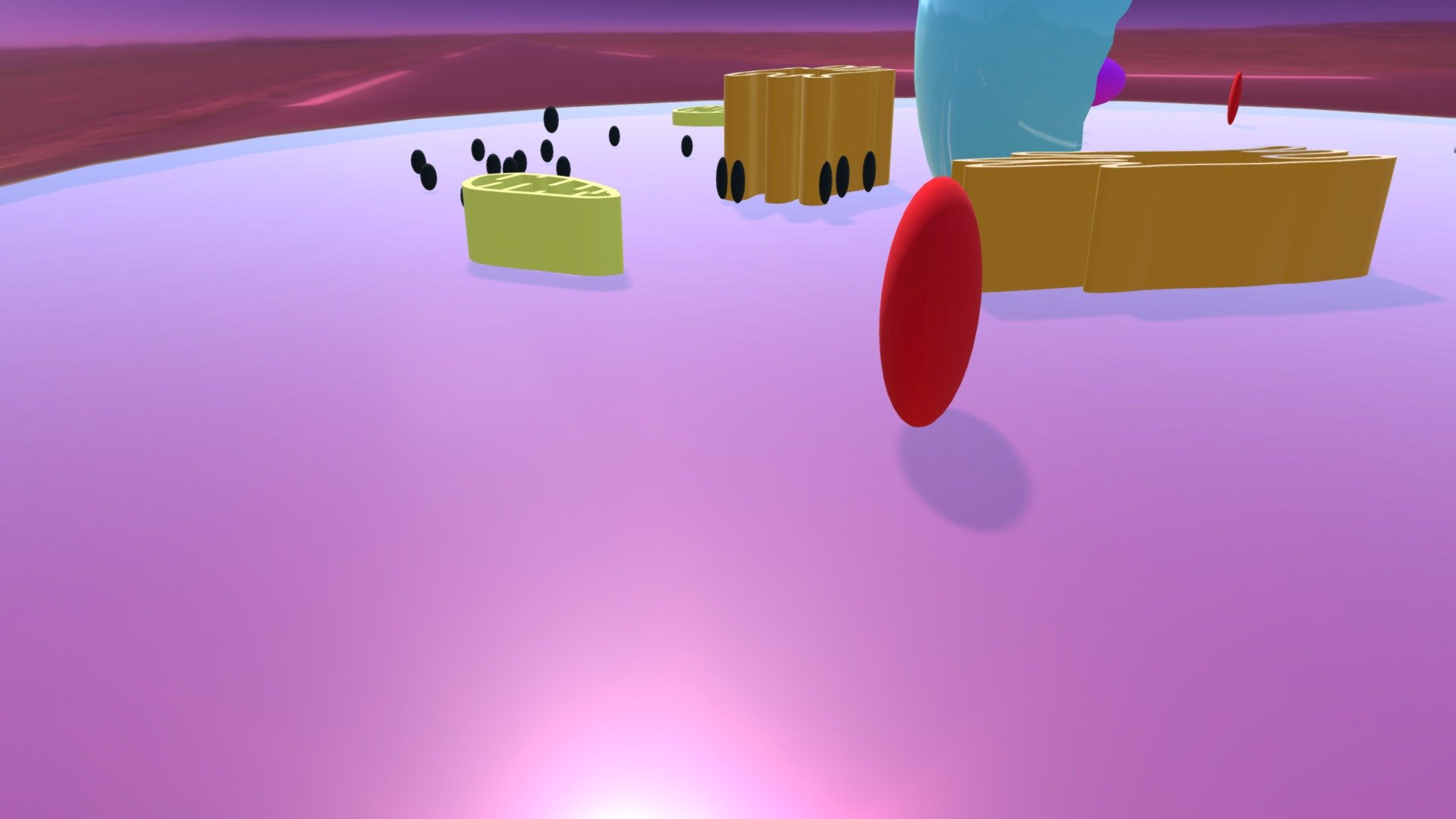 Sam Animal Cell (5) - 3D model by rudner [70d60d0] - Sketchfab