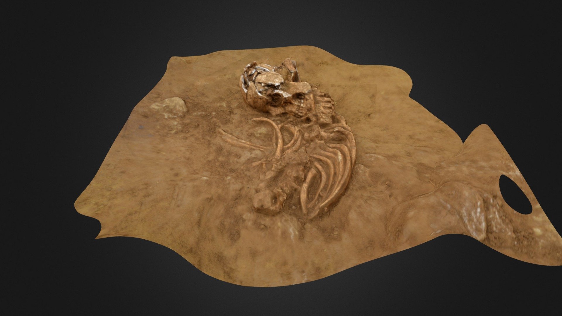 Ham Hill - Skeleton 1 - 3D model by Robert Barratt (@robbarratt ...