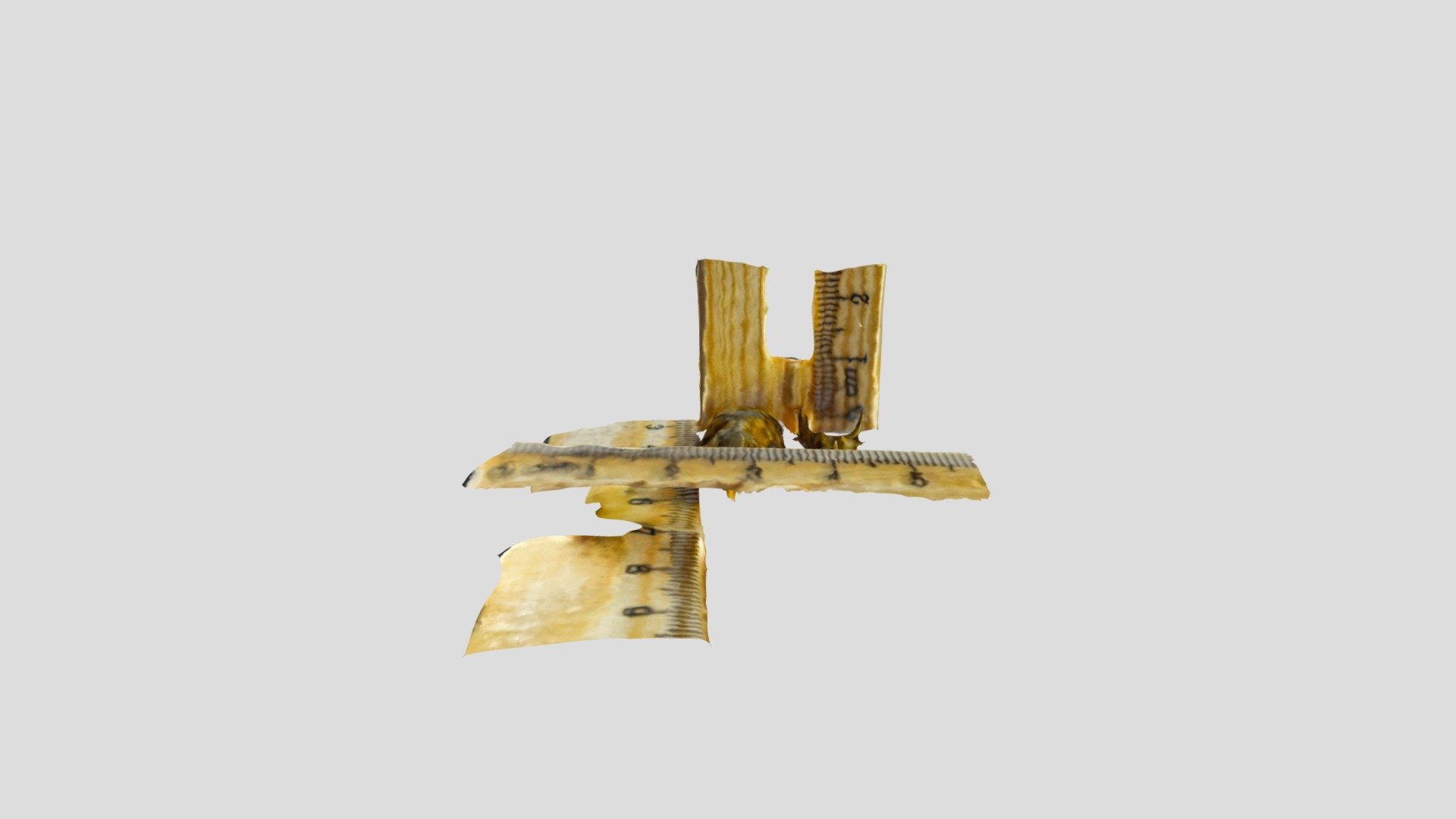 Череп мышки полёвки. - 3D model by NedoIstorik [70e1fe3] - Sketchfab