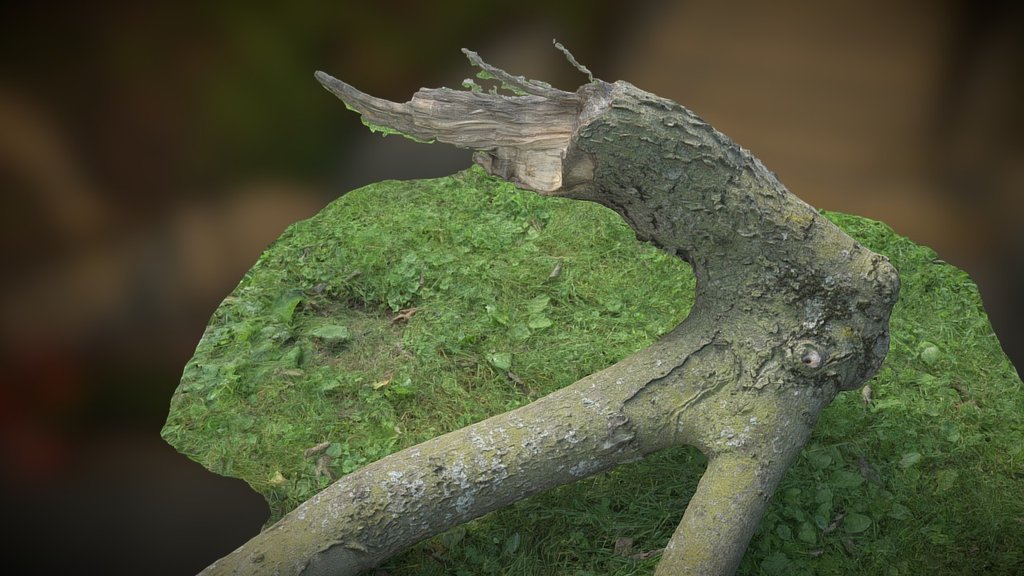 Big Log - Download Free 3D model by majedhd [70e67ed] - Sketchfab